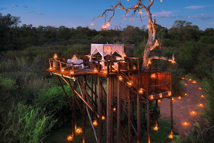 Treehouse Hotels In South Africa Let You Sleep In The Wild Treehouse Hotels In South Africa Let You Sleep In The Wild